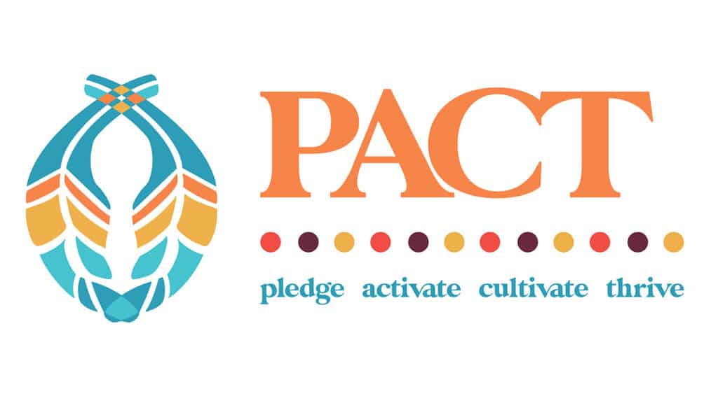 National Screen Institute | PACT | National Screen Institute